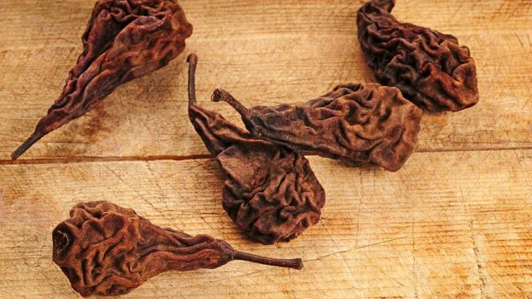 Dörrbirnen, Kletzen, Hutzeln | Karin Greiner - Pflanzenlust